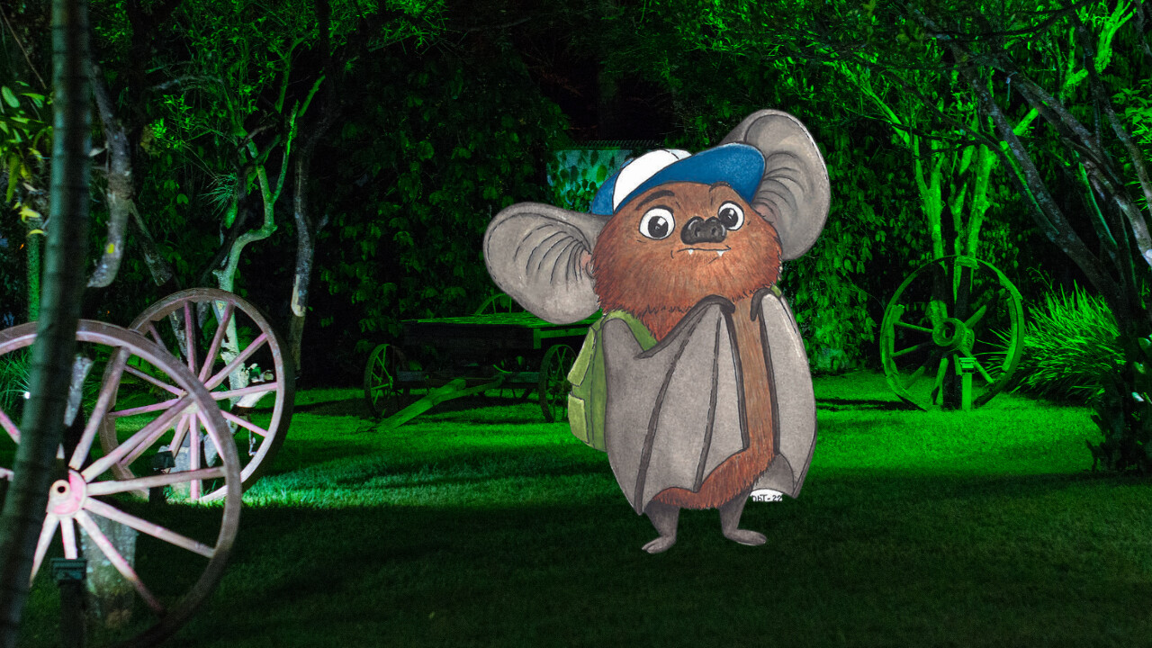 Become a bat detective