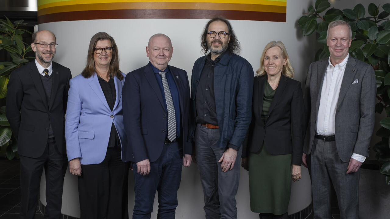 Universitetsledningen