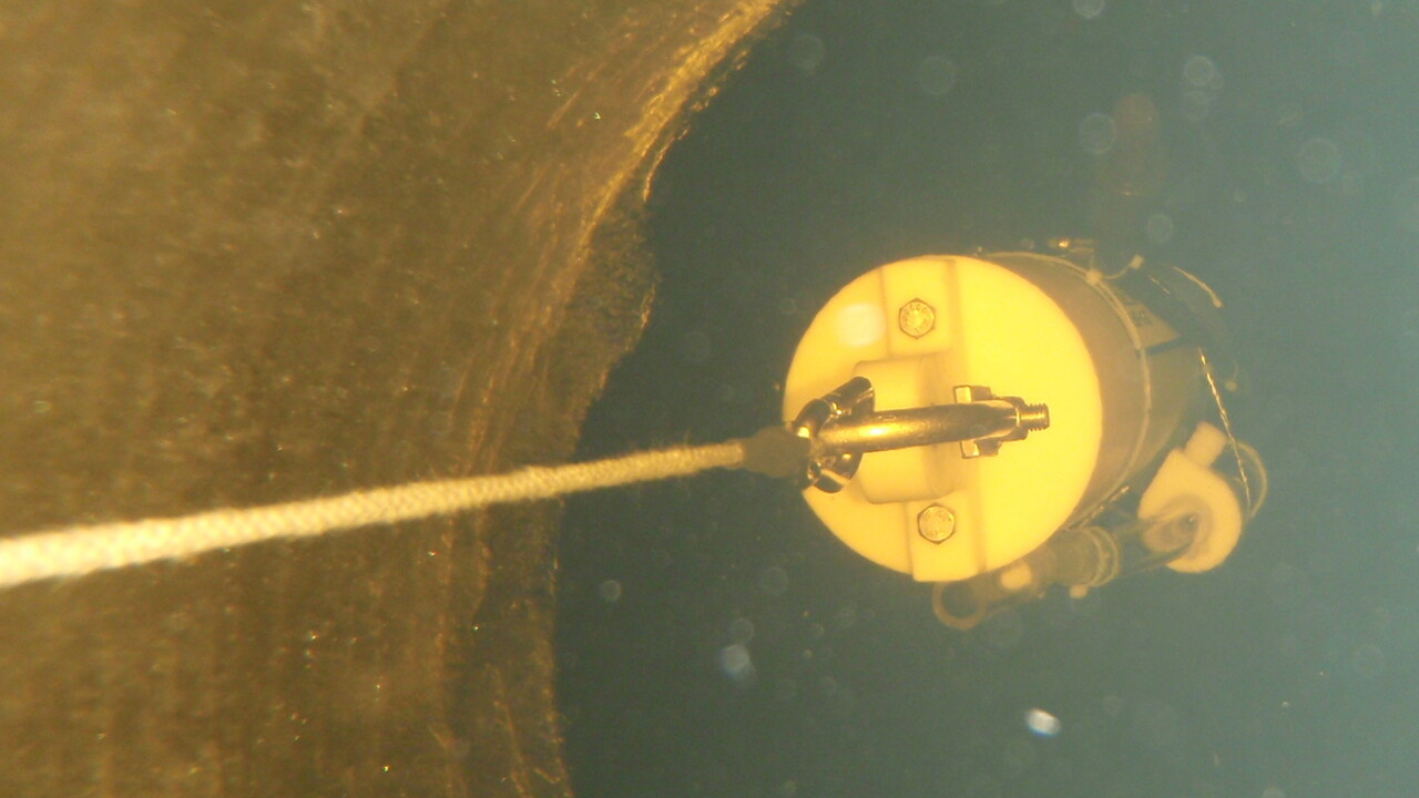 Effects of browning of coastal waters on marine food web function and ...