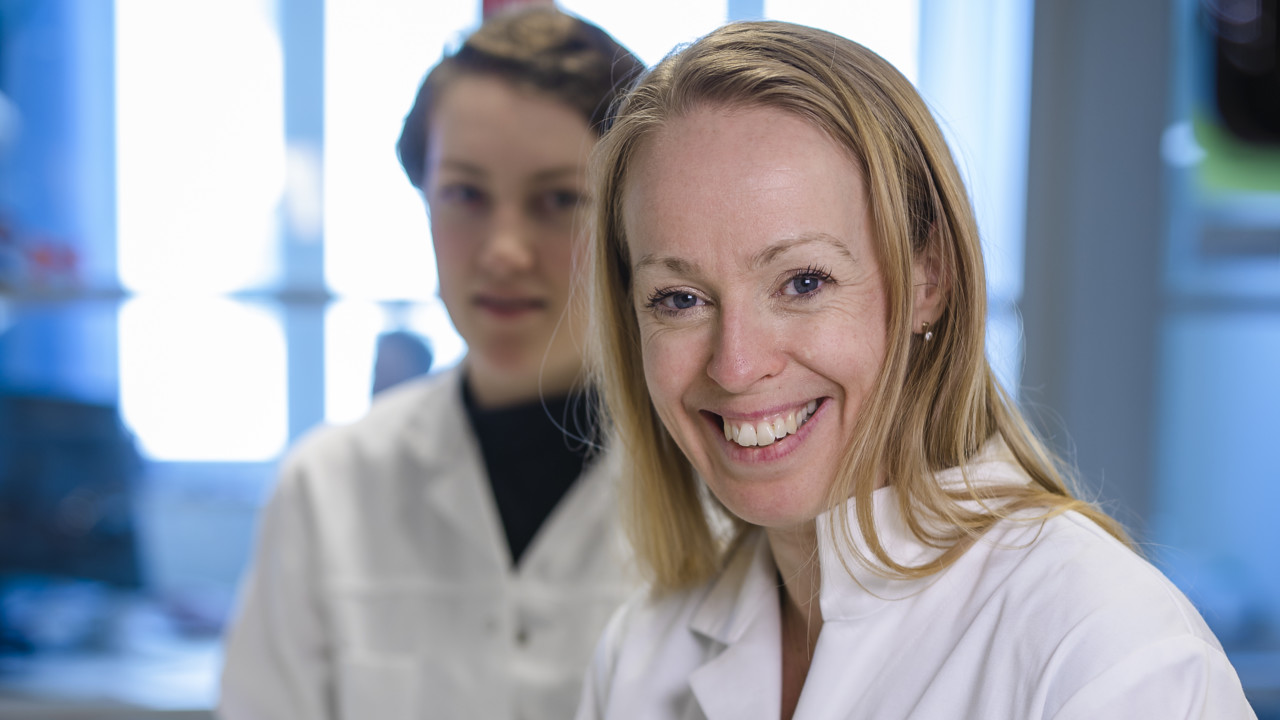 Aiming to outsmart the TBE virus