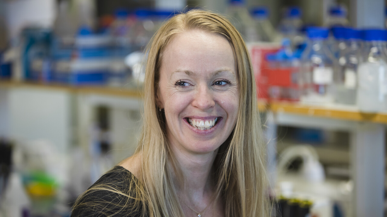 Anna Överby Wernstedt lab